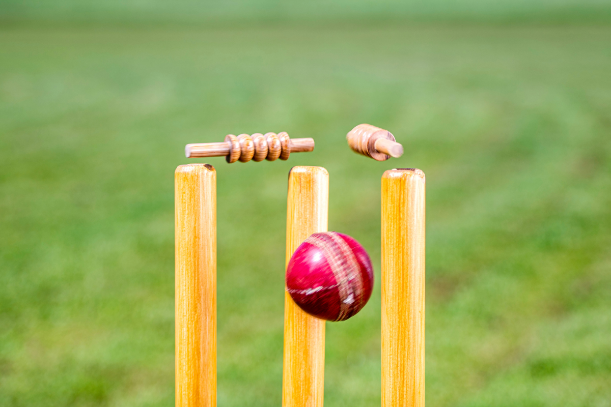 Cricket Connect: A Cultural Journey Through Sport | Culture Days 2025