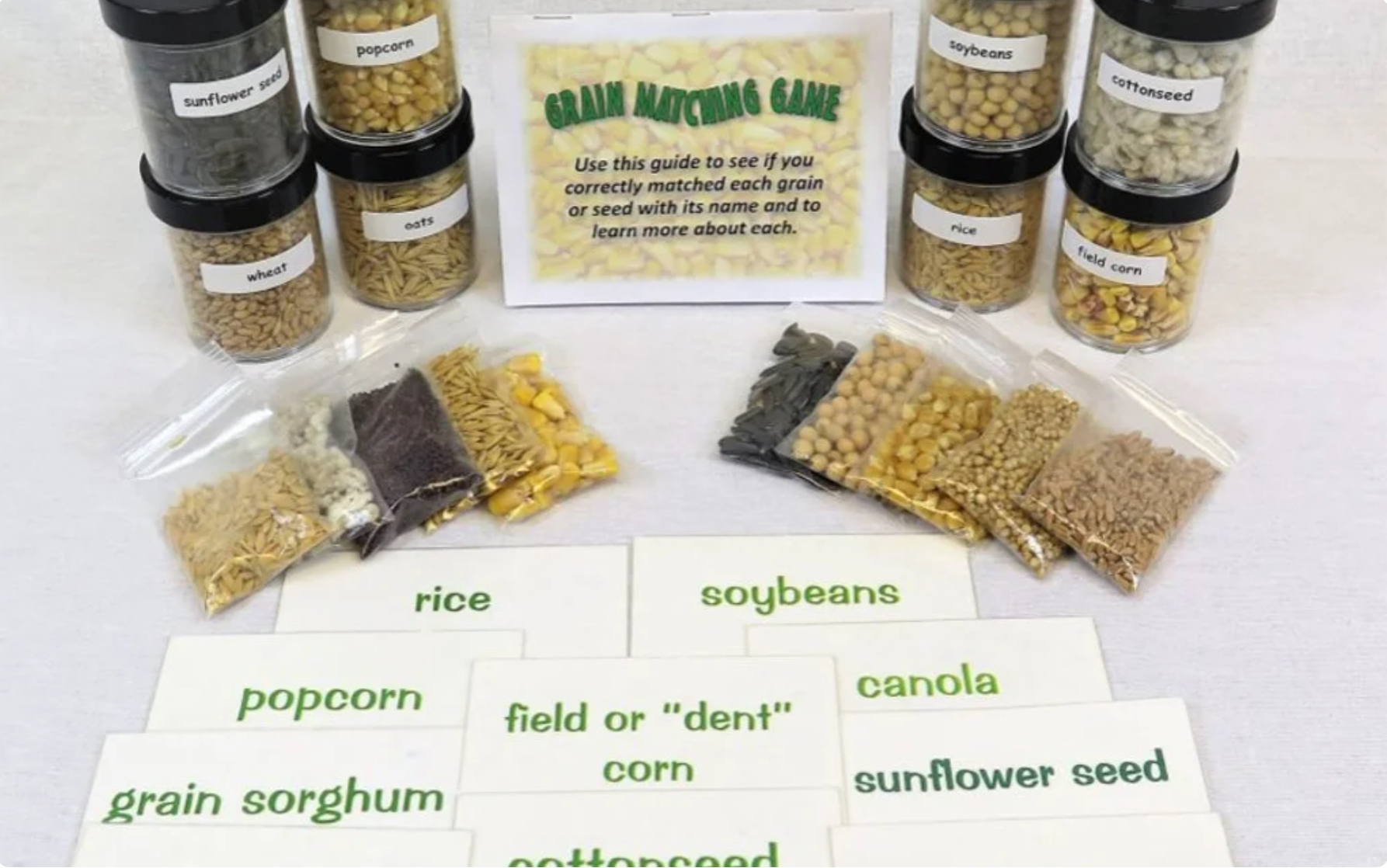 Grain Games | Culture Days 2024