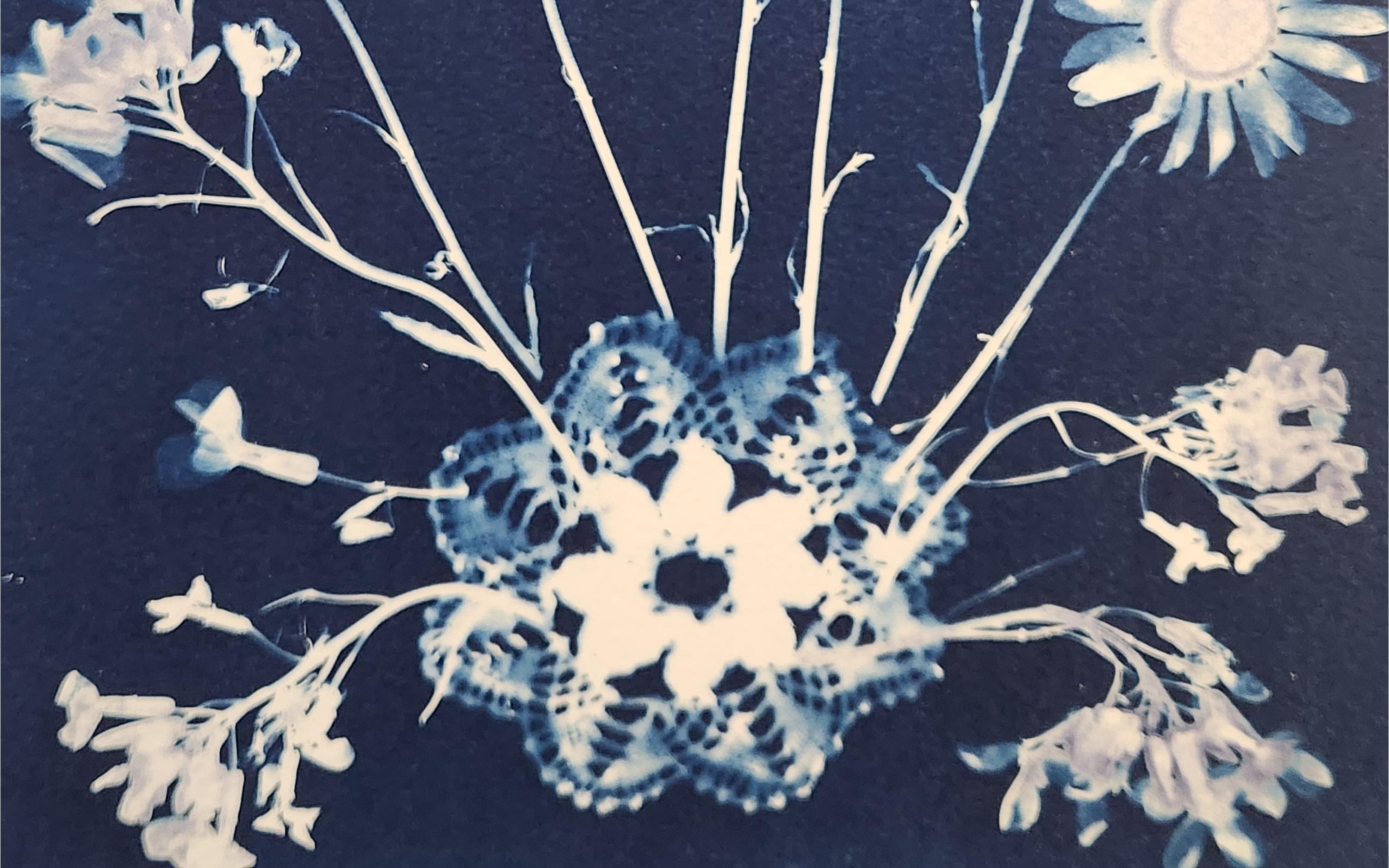 Botanical Cyanotypes Workshop | Culture Days 2025